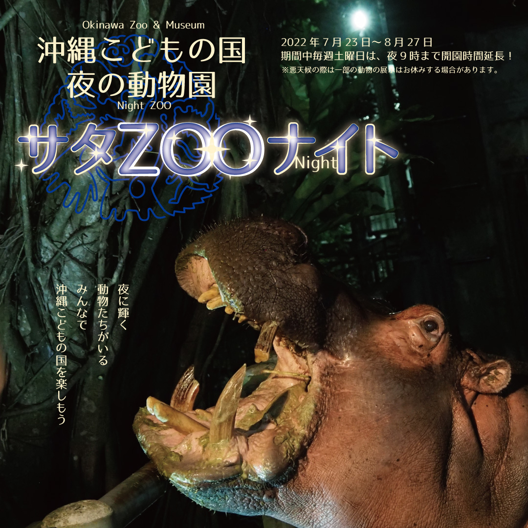 夜の動物園－サタZOOナイトー | 沖縄こどもの国 - Okinawa Zoo & Museum