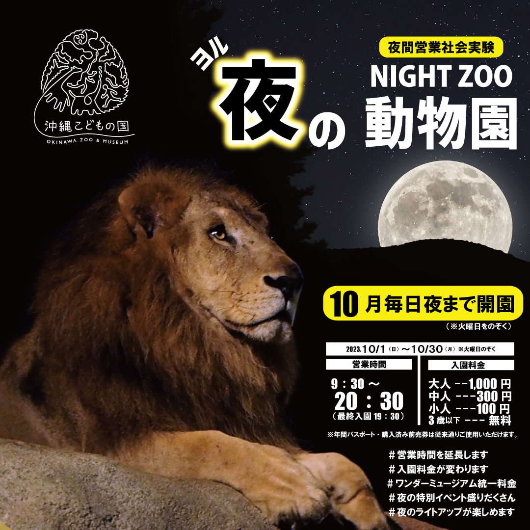 夜の動物園NIGHT ZOO | 沖縄こどもの国 - Okinawa Zoo & Museum