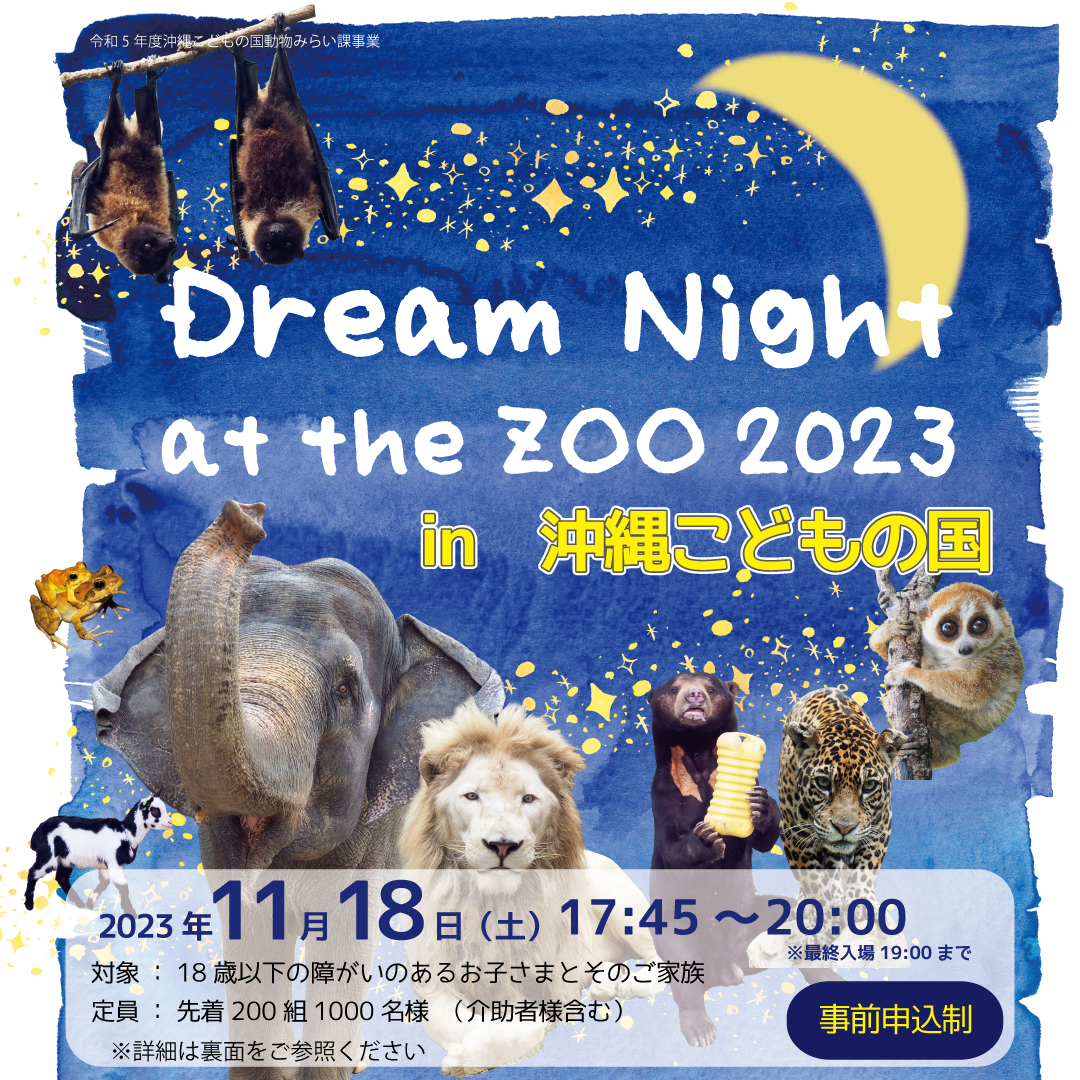 Dream night at the zoo 2023 in 沖縄こどもの国 | 沖縄こどもの国 - Okinawa Zoo & Museum